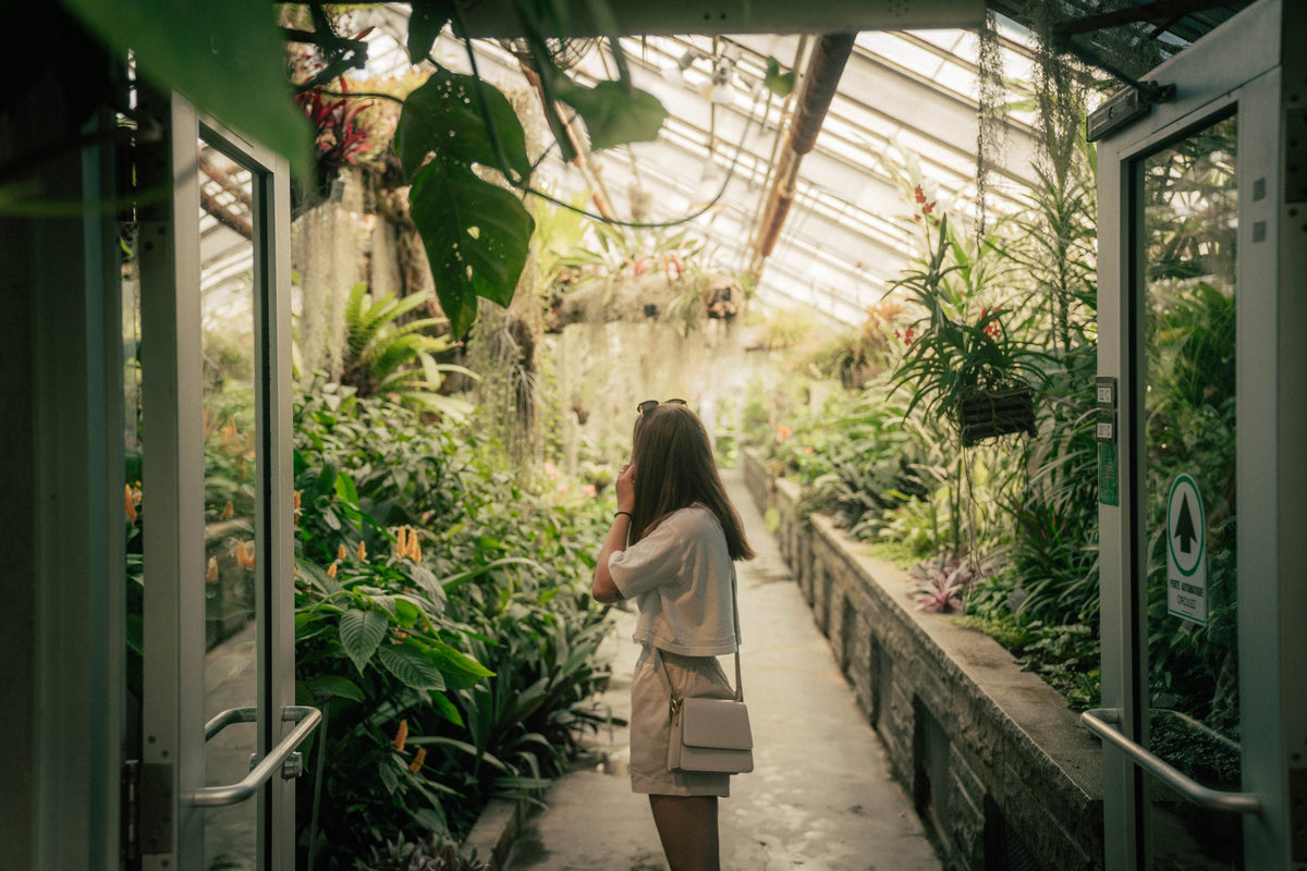 A peek behind the glass wall: all about "Come into the greenhouse day"
