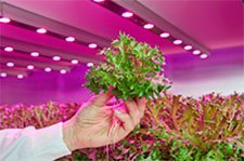 GreenPower LED production module